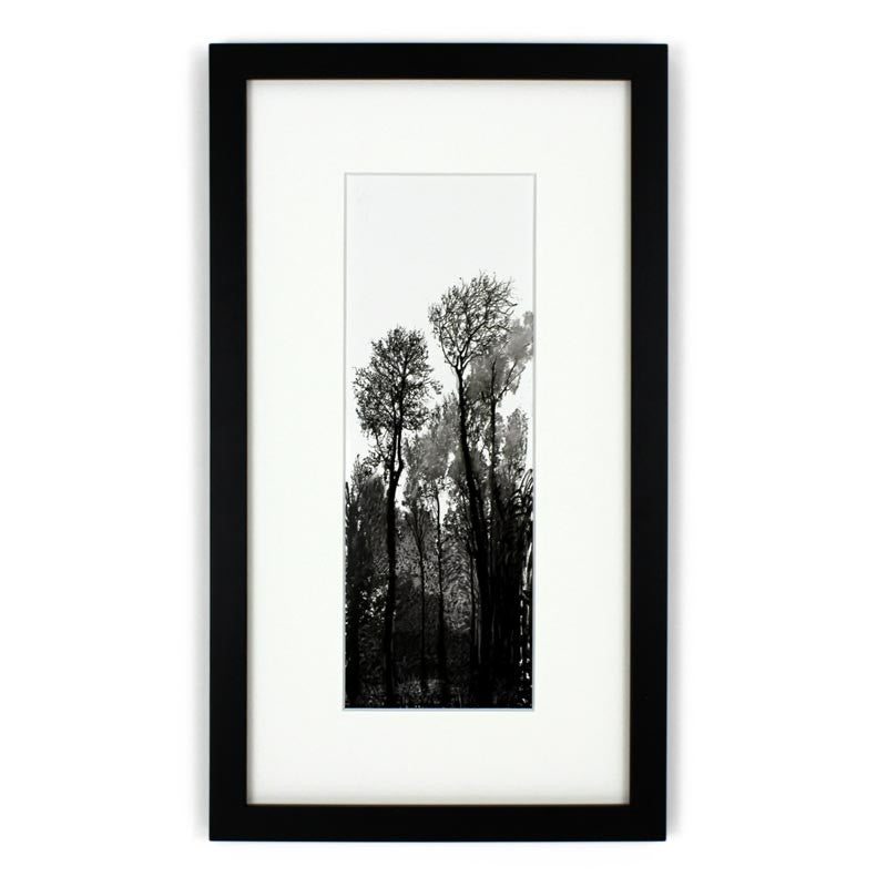 Tall Black Trees (Mini-Frame) by David Hockney – Salts Mill Shop